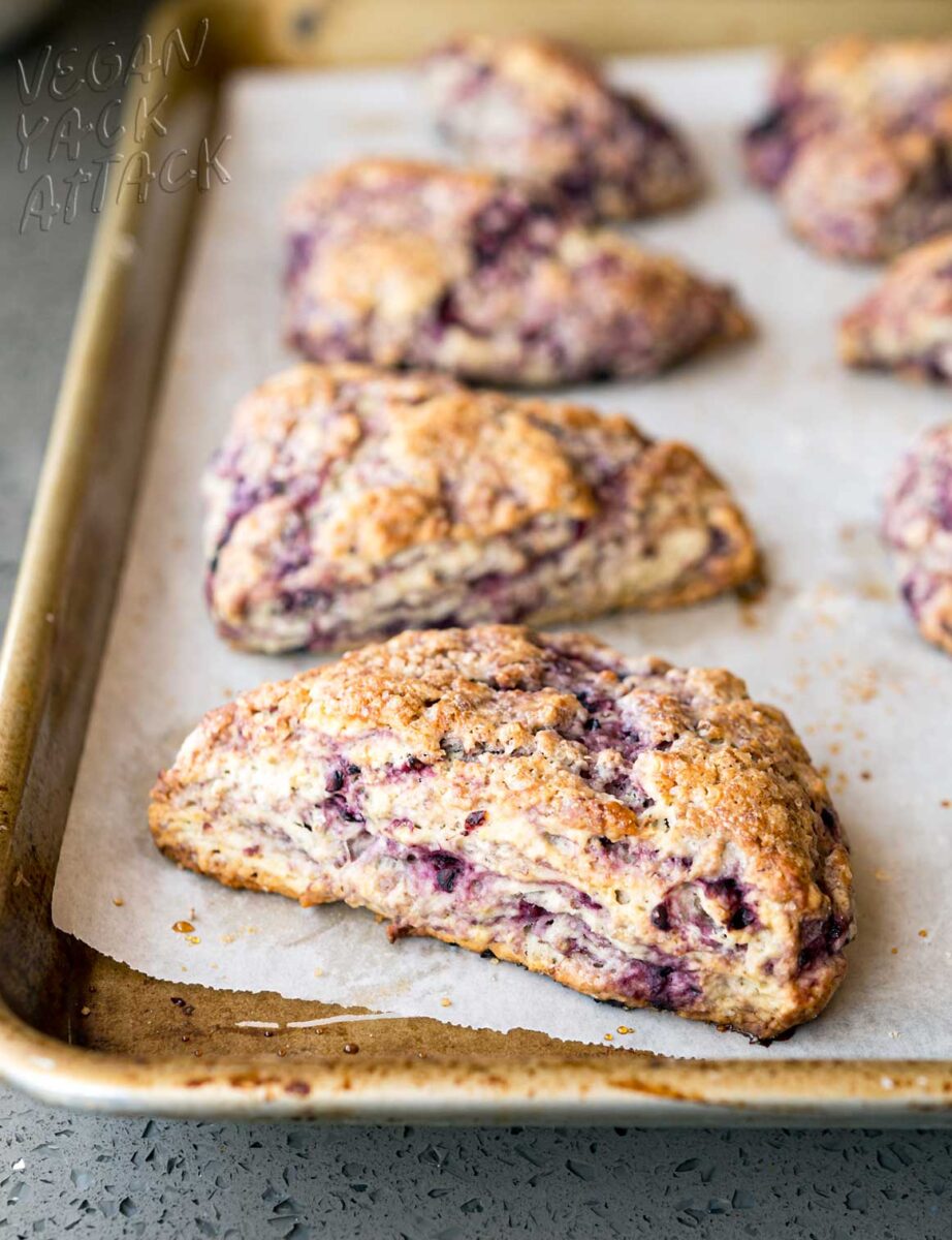 Sugared Flaky Blackberry Lavender Scones - Vegan Yack Attack
